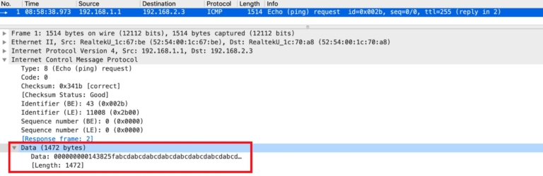 Cisco機器のpingコマンド詳細(応答結果とオプションの説明)