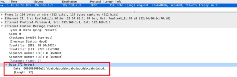 Cisco機器のpingコマンド詳細(応答結果とオプションの説明)